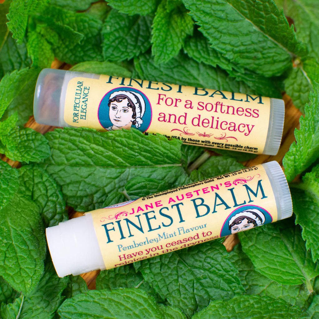 Jane Austen's Finest Lip Balm | Smart and Funny Gifts by UPG – The ...